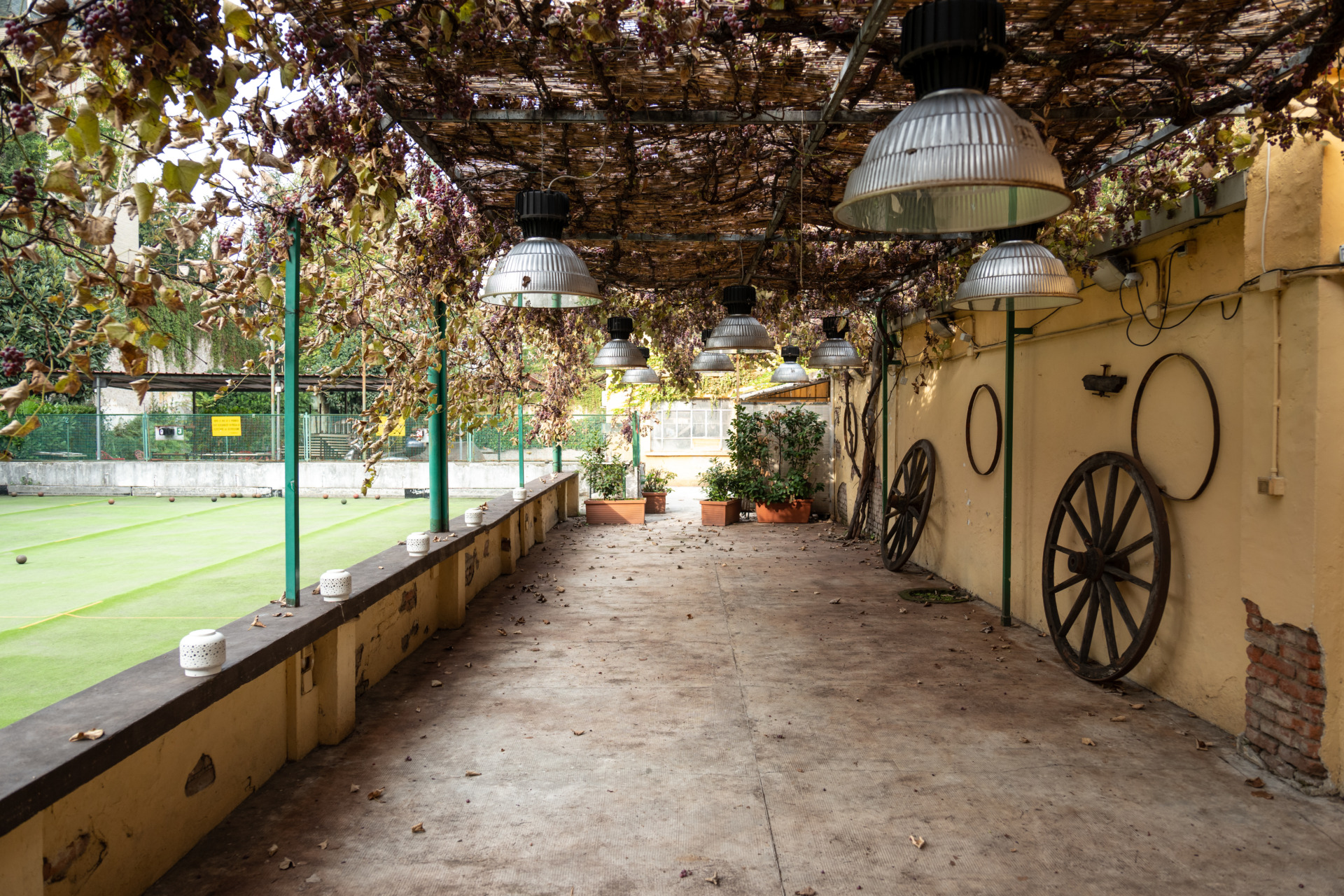 Where to eat in Milan’s Maggiolina district - Dils